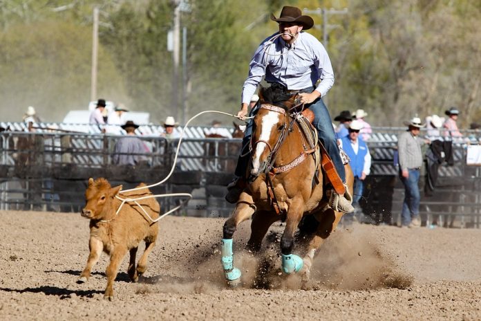 Ministra del Deporte (Kantor) y su visión del rodeo como “esencia” de ...