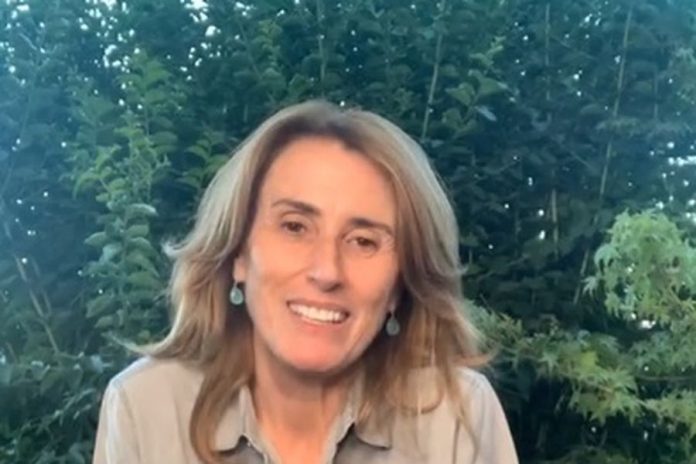 Marcela Cubillos irá de candidata Constituyente en lista de Chile Vamos ...